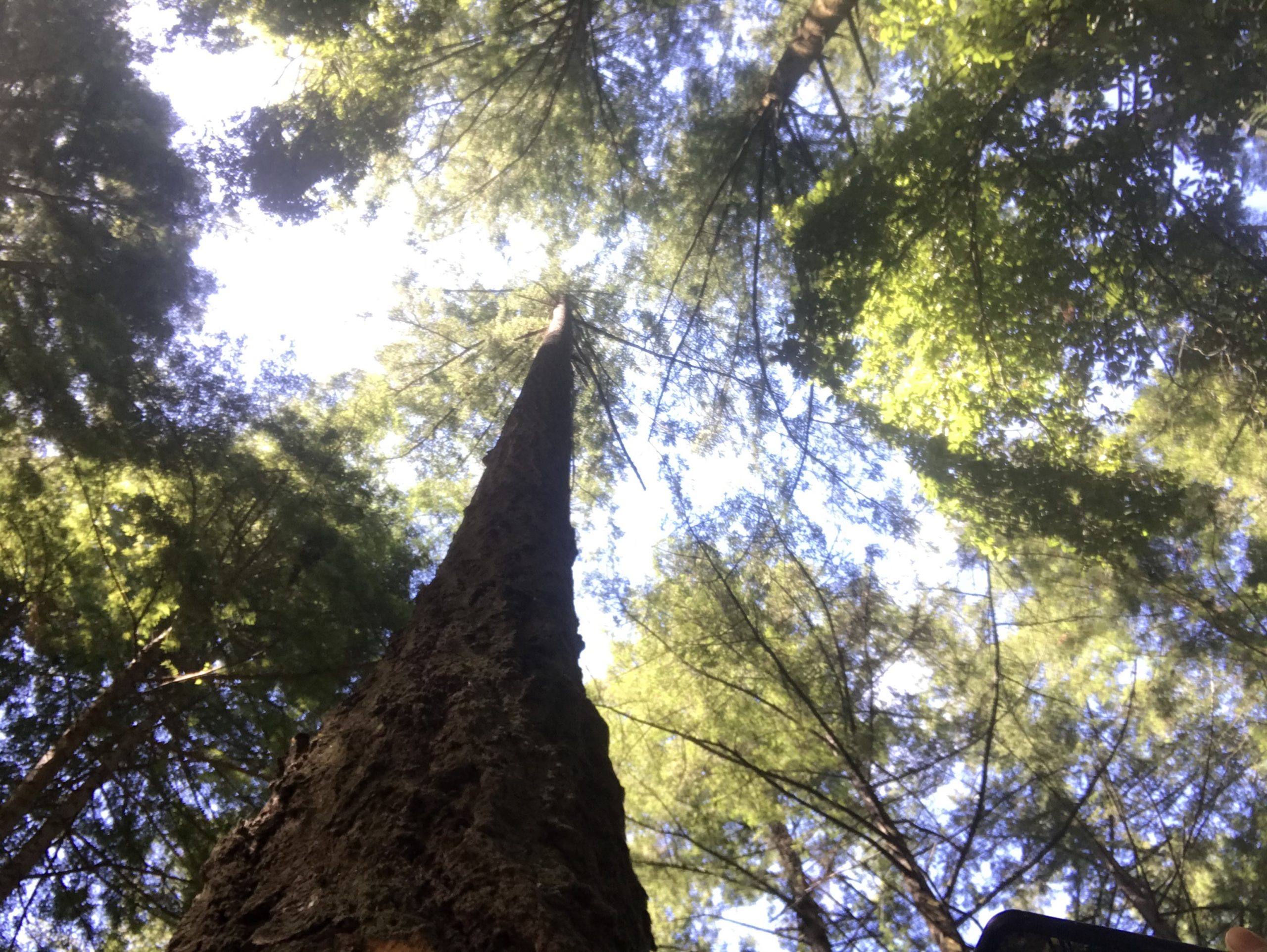 MovingGround Residency